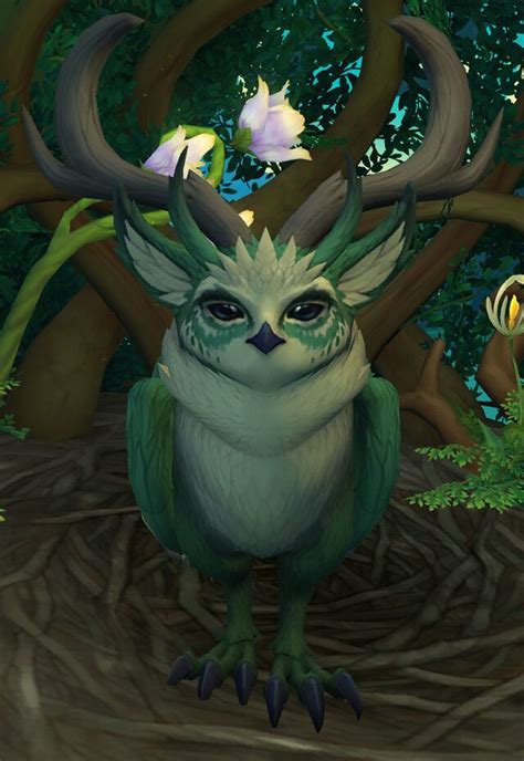 Somnowl Warcraft Wiki Your Wiki Guide To The World Of Warcraft