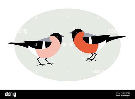 Bullfinch Male And Female Two Birds Vector Illustration Stock Vector