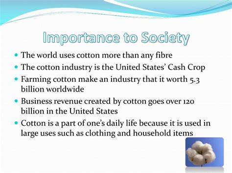 Ppt Cotton Production Of Plants Powerpoint Presentation Free