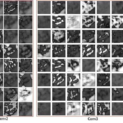 Celldiff Net Convolutional Neural Network For Wbc Differential
