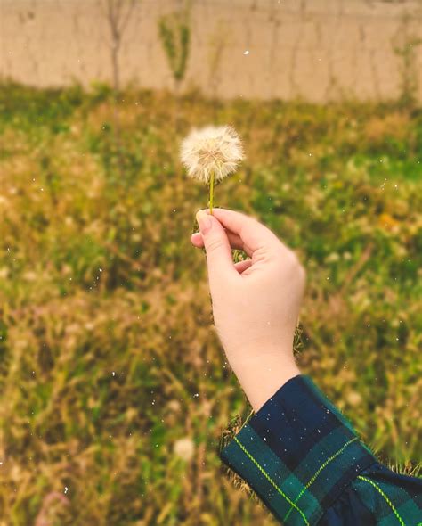 ‎ثنــاَ🪿‎ ‎بیشتر سکوت میکنی 🥲💔 حرفدل ویدیو ویدیوکلیپ اعتماد رنج درد