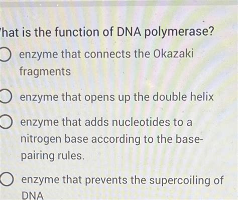 Solved hat is the function of DNA polymerase?enzyme that | Chegg.com