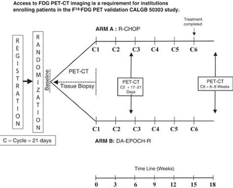 Pet Imaging As A Biomarker Radiology Key