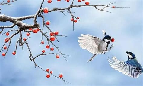 专题丨二十四节气——霜降