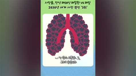 사망률 만성 폐쇄성 폐질환 Vs 폐암 2030년 세계 사망 원인 3위‘ 네이버 Tv