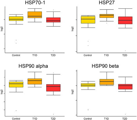 Frontiers Quantification Of Heat Shock Proteins In The Posterior