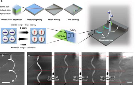 Electron Beam Induced Shape Memory Effect In Twisted Btocfo Download Scientific Diagram