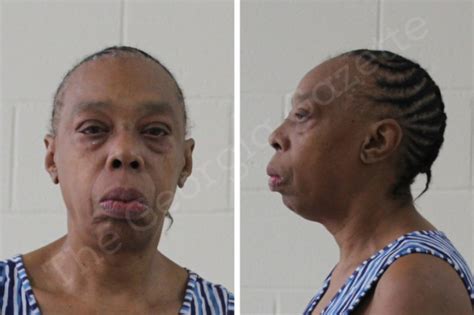 Tracy Wright — Houston County Jail Bookings