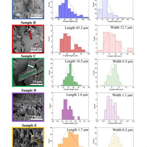 SEM Images And Particle Size Distributions Length Marked As A Filled Download Scientific