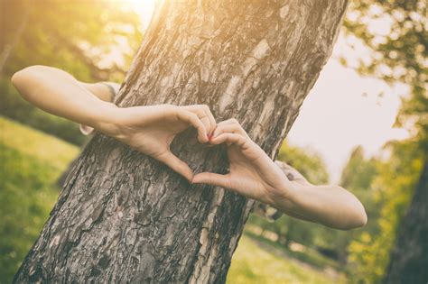 19 Hábitos Para Cuidar Melhor Do Meio Ambiente Ciclovivo