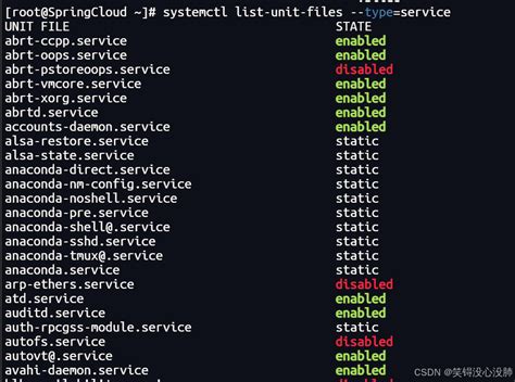 Systemd 进阶 查看启动顺序代码 Csdn博客