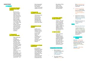Anaphy LEC 1 Practice TEST Identification Test Human Anatomy