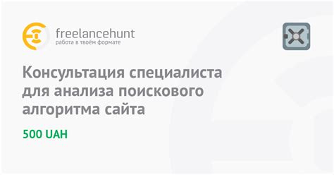 Консультация специалиста для анализа поискового алгоритма сайта