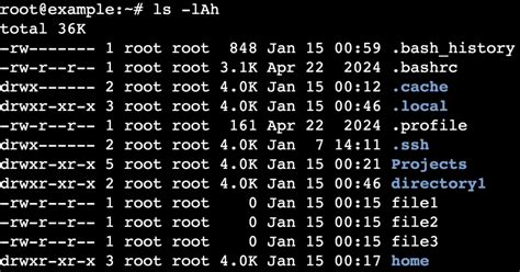 how to use the ls command in linux