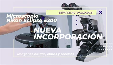 Incorporación E200 Iluminar