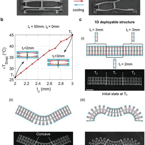 Thermally Actuated Sequential Morphing Of Planar Structure A Download Scientific Diagram