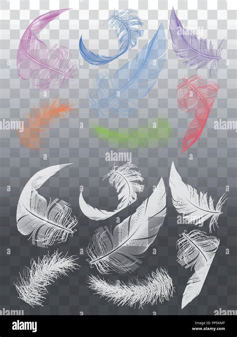 Flying 3d Feathers Set Of Vector Graphic Design Elements Isolated