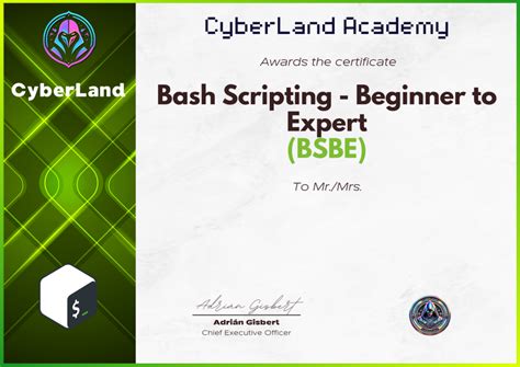 Bash Scripting Beginner To Expert CyberLand