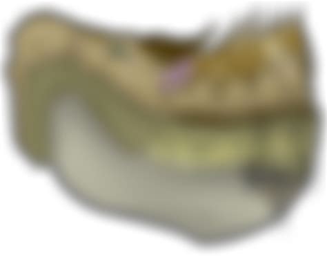 Willow Head Bust By Queendracodharriott On Deviantart