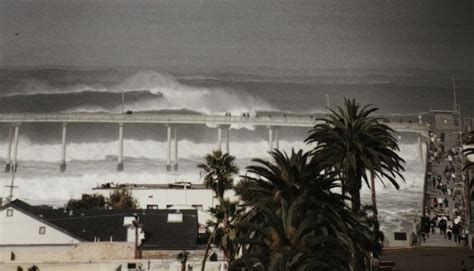 News And Notices From Ocean Beach And Point Loma Ob Rag