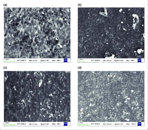 Microstructure Of Pvc Elastomers With Different Shore Hardness Levels Download Scientific