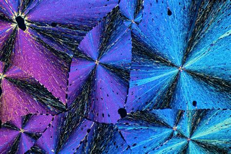 Nicotinamide | Behance
