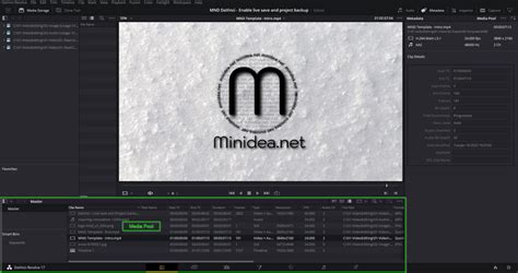 File DaVinci Resolve Media Media Pool Png Minidea Wiki