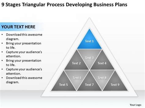 Business Process Diagram Chart Triangular Developing Plans Ppt PowerPoint Slides