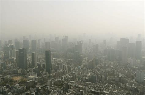 黄砂アレルギーとは？時期や症状、診断方法、10の対策法を徹底解説 オープンラボ 大学研究生まれで安心のサプリ・美容・健康食品