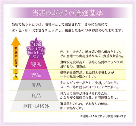 【楽天市場】おまかせ 国産 美味 種なし ぶどう 6種 食べ比べ ギフトセット 葡萄 ブドウ フルーツ ギフト 詰め合わせ プレゼント 手土産