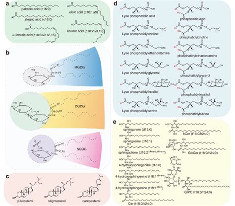 Structures Of Major Functional Lipids A Chemical Structures Of Common Download Scientific