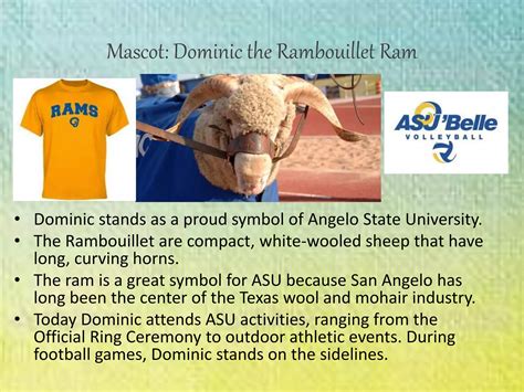 Angelo State University Pptx College Football College Sports