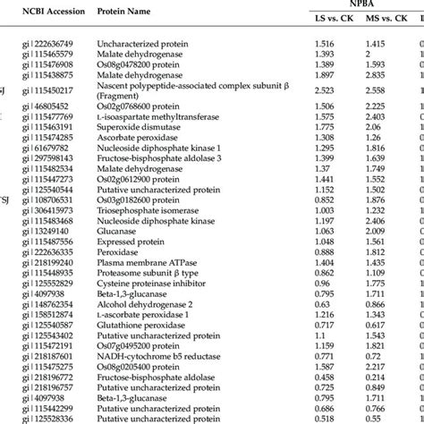 Gene Ontology Go And Clusters Of Orthologous Group Cog Analysis Of