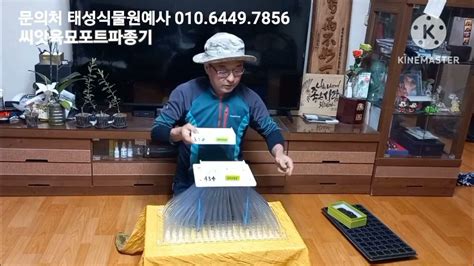 씨앗육묘포트파종기쉽게씨앗포트파종하기 Youtube