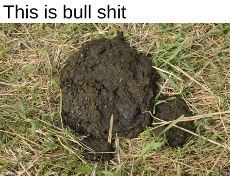 Not Wrong Imgflip
