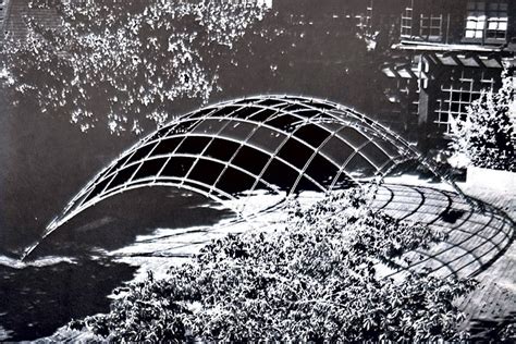 A Primer On The Form And Behaviour Of Gridshell Structures