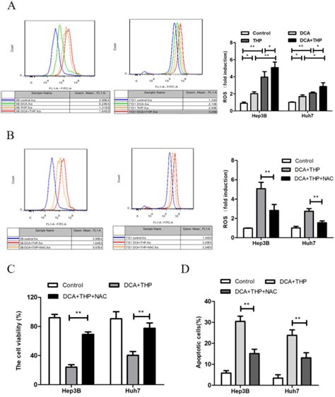 Human Liver Cancer Cell Line Hep3b Atcc Bioz