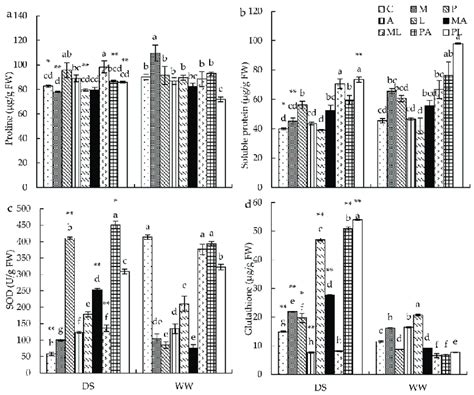 The Effects Of Dse Inoculation Trichoderma Inoculation And Water