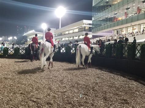 東京プリンセス賞発走前のふれあいです 南関誘導馬魂のブログ