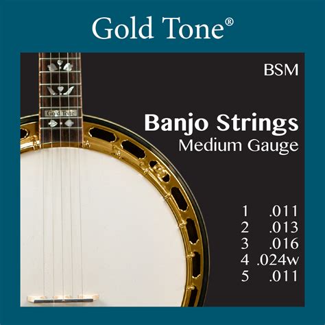 Gold Tone Bsm 5 String Banjo Strings Medium Gauge Full Set