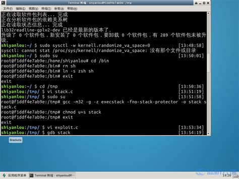 缓冲区溢出漏洞实验 蓝桥云课 缓冲区溢出漏洞实验 蓝桥云课