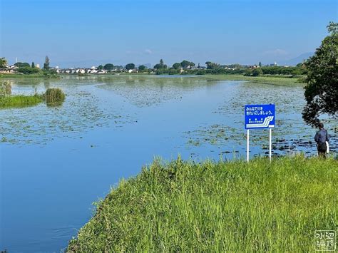 城沼の首洗堰群馬県館林 水辺遍路