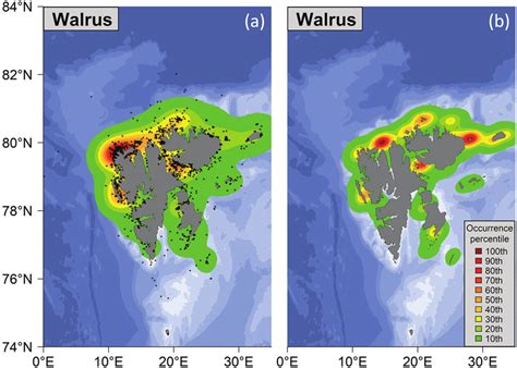 Kde Plots Showing Observation Frequencies Of Walruses Around Svalbard