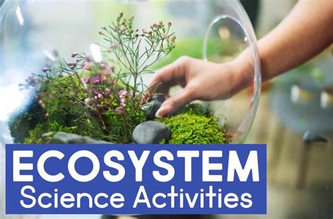 Ecology Project For Biology