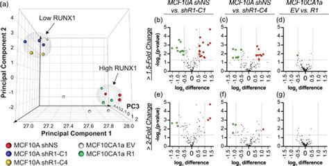 Identification Of Trna‐derived Small Rna Tsrna Responsive To The