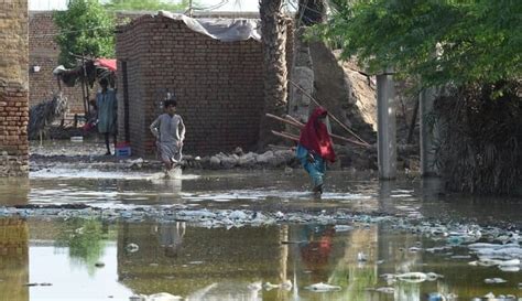 Pakistan le bilan provisoire des inondations meurtrières grimpe à 1136
