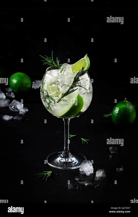 Gin Tonic Alcoholic Cocktail Drink With Dry Gin Rosemary Tonic Lime