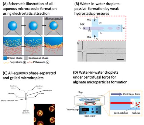 Schematic Principles Of All Aqueous Microcapsule Formation A Download Scientific Diagram