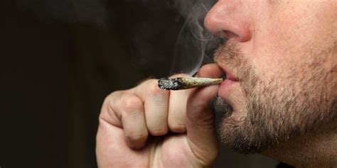 Cannabis Wirkung Von CBD Tropfen Bis Haschkekse