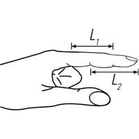 Bort Mobidig Flexion Fingerquengel Kaufen Bei Careshop De